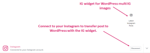 How To Get Your Instagram On WordPress – Dropner Graphic Explainer