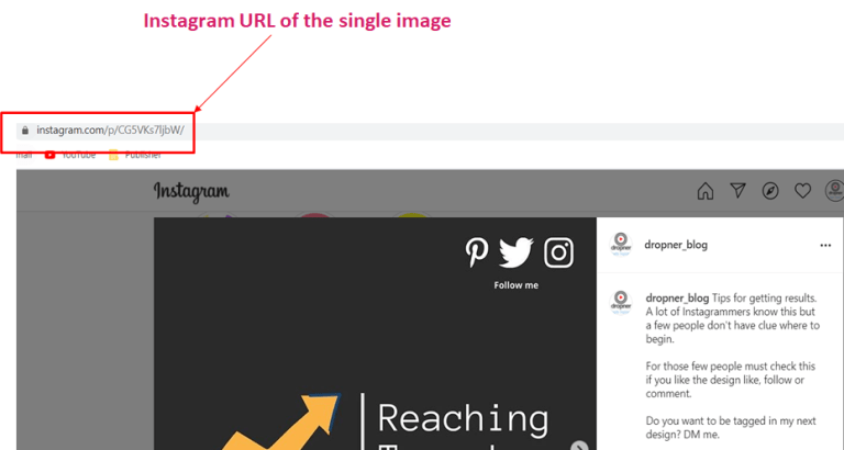 How To Get Your Instagram On WordPress – Dropner Graphic Explainer
